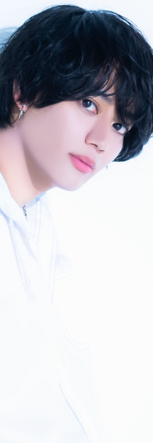 歌舞伎町｜ホストクラブ｜TOP DANDY 1st